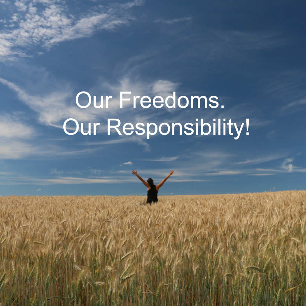 Good Citizen: Teaching Young Americans How to become an Effective Citizen